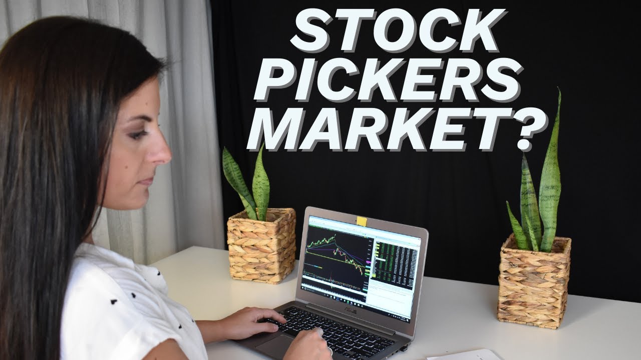 Are We In A Stock Pickers Market? (And My Best Investing Strategy ...